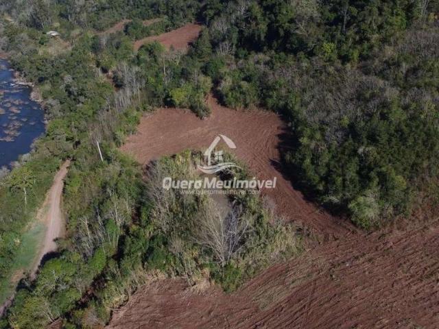 Sítio / Chácara para Venda em Caxias do Sul/RS Vila Cristina