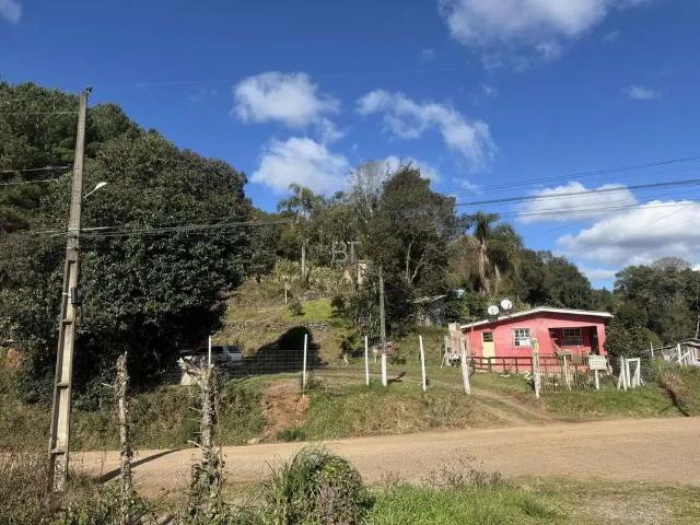 Sítio / Chácara para Venda em Caxias do Sul/RS Vila Oliva Distrito 3 Quartos