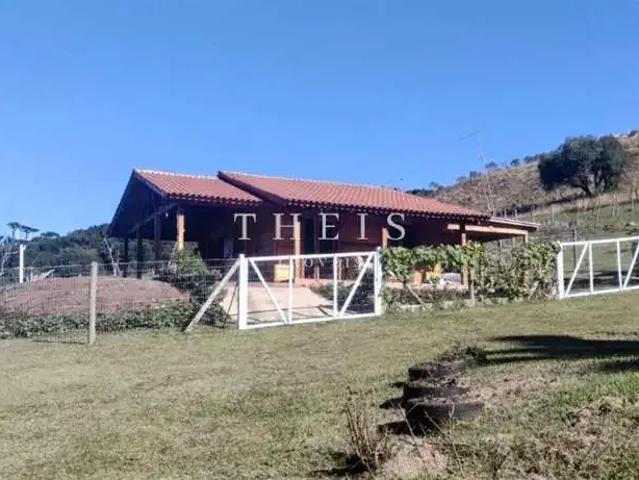 Sítio / Chácara para Venda em Caxias do Sul/RS Vila Oliva Distrito 2 Quartos
