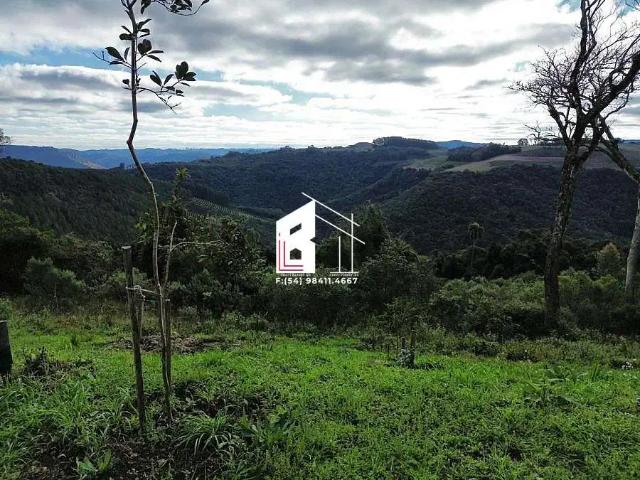 Sítio / Chácara para Venda em Caxias do Sul/RS Vila Oliva Distrito