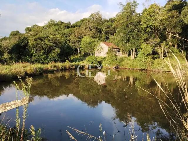 Sítio / Chácara para Venda em Caxias do Sul/RS Vila Oliva Distrito