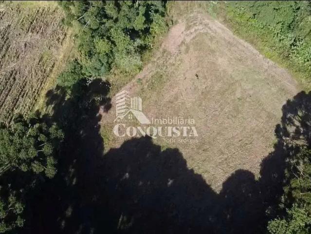 Sítio / Chácara para Venda em Caxias do Sul/RS Vila Oliva Distrito