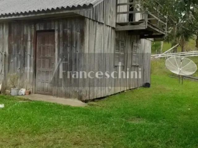 Sítio / Chácara para Venda em Caxias do Sul/RS Vila Seca