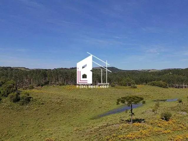 Sítio / Chácara para Venda em Caxias do Sul/RS Vila Seca