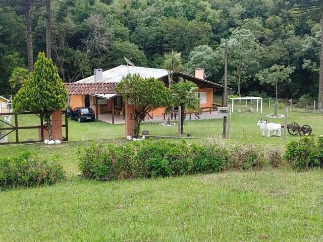 Sítio / Chácara para Venda em Caxias do Sul/RS Vila Seca 4 Quartos