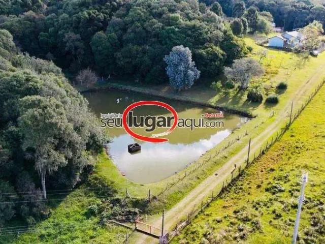 Sítio / Chácara para Venda em Caxias do Sul/RS Vila Seca