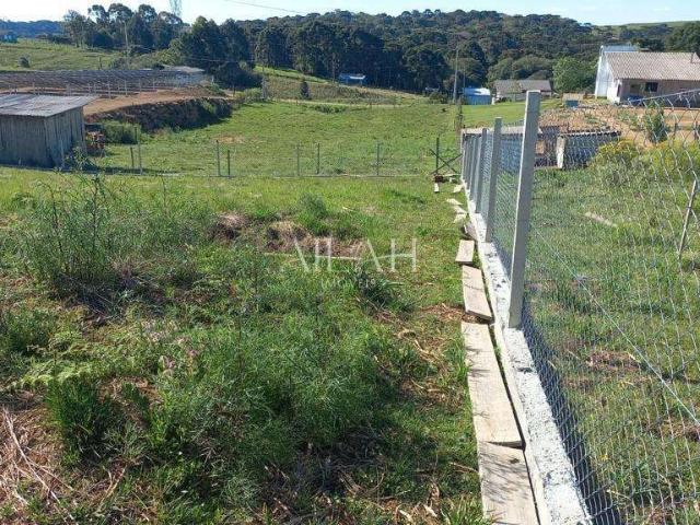 Sítio / Chácara para Venda em Caxias do Sul/RS Vila Seca