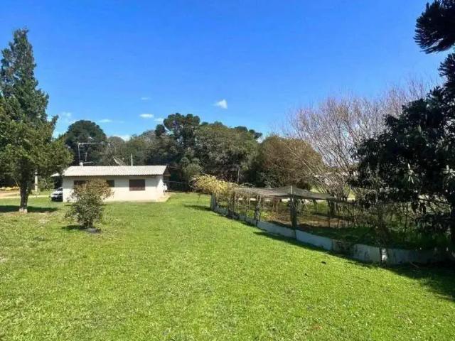 Sítio / Chácara para Venda em Caxias do Sul/RS Vila Seca 8 Quartos