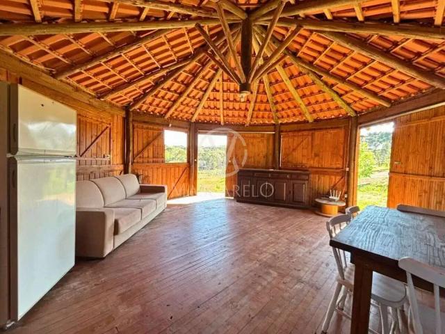 Sítio / Chácara para Venda em Caxias do Sul/RS Vila Seca