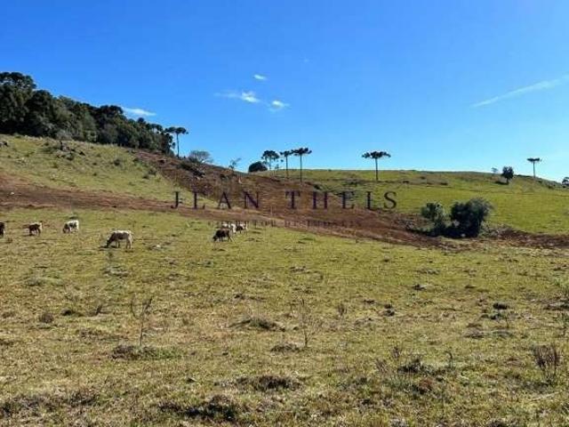 Sítio / Chácara para Venda em Caxias do Sul/RS Vila Seca 2 Quartos