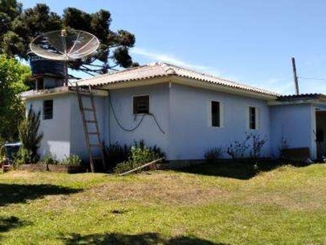 Sítio / Chácara para Venda em Caxias do Sul/RS Vila Seca
