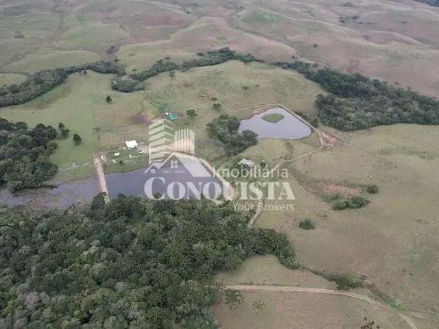 Sítio / Chácara para Venda em Caxias do Sul/RS Vila Seca 3 Quartos