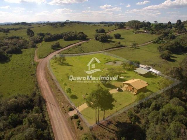 Sítio / Chácara para Venda em Caxias do Sul/RS Vila Seca 3 Quartos