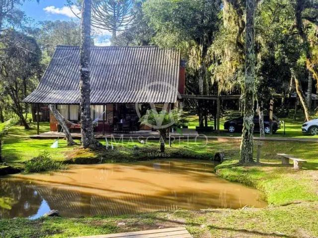 Sítio / Chácara para Venda em Caxias do Sul/RS Vila Seca 3 Quartos