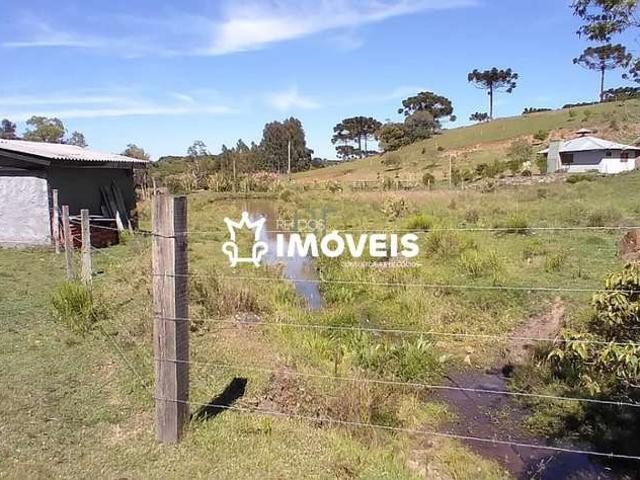 Sítio / Chácara para Venda em Caxias do Sul/RS Vila Seca 3 Quartos