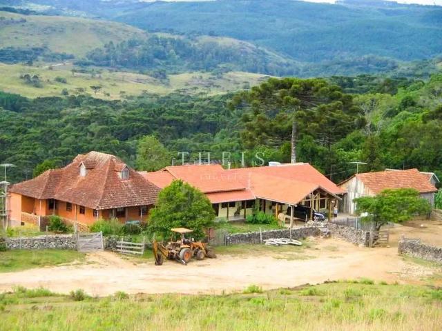 Sítio / Chácara para Venda em Caxias do Sul/RS Zona Rural 3 Quartos