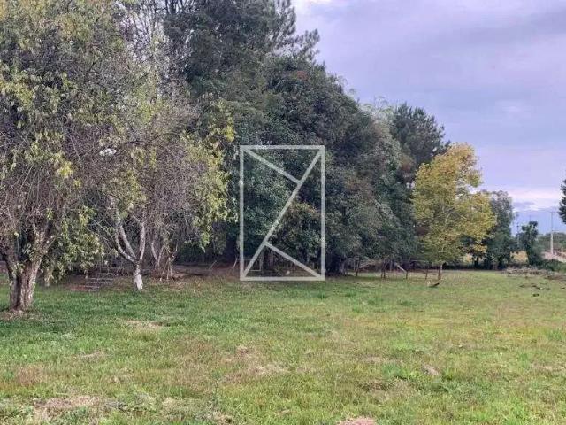 Sítio / Chácara para Venda em Caxias do Sul/RS Zona Rural