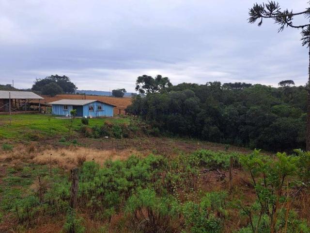 Sítio / Chácara para Venda em Caxias do Sul/RS Zona Rural 2 Quartos
