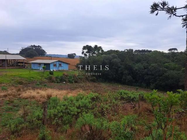 Sítio / Chácara para Venda em Caxias do Sul/RS Zona Rural 2 Quartos