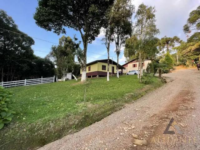 Sítio / Chácara para Venda em Caxias do Sul/RS Zona Rural