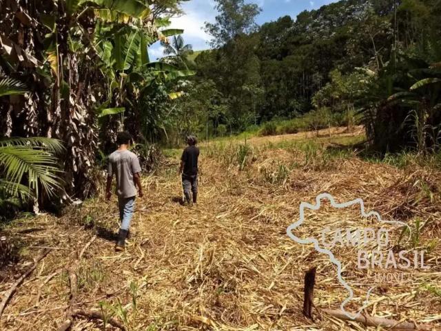 Sítio / Chácara para Venda em Caçapava/SP Área Rural de Caçapava 1 Quartos