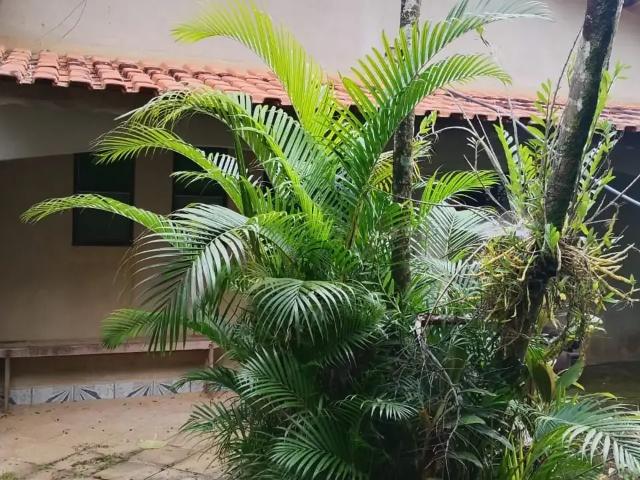 Sítio / Chácara para Venda em Caçapava/SP Área Rural de Caçapava