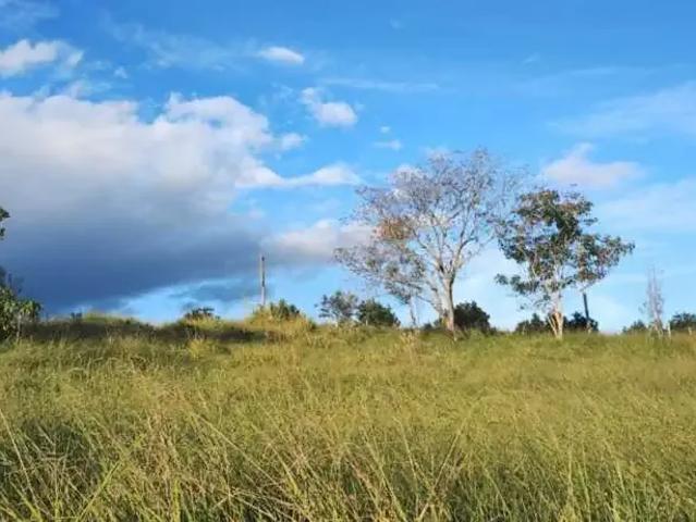 Sítio / Chácara para Venda em Caçapava/SP Área Rural de Caçapava