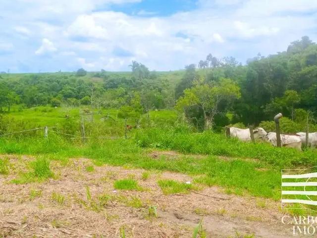 Sítio / Chácara para Venda em Caçapava/SP Bairro da Serrinha