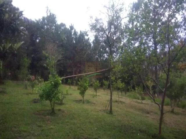 Sítio / Chácara para Venda em Caçapava/SP Chácara Itamarati