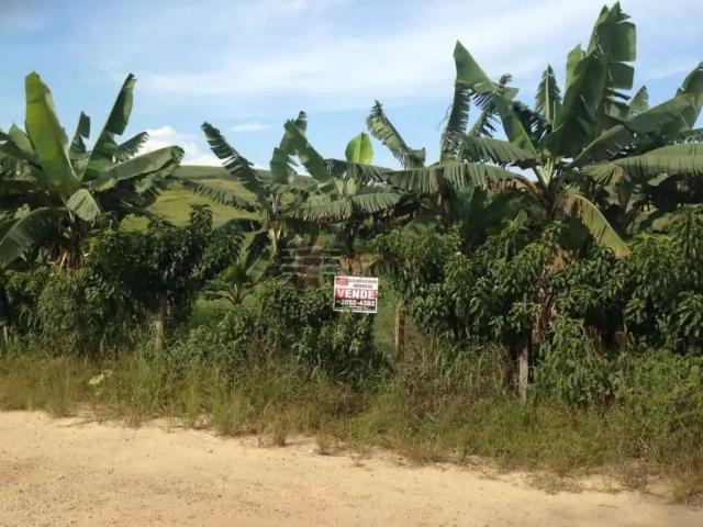 Sítio / Chácara para Venda em Caçapava/SP Guamirim 1 Quartos