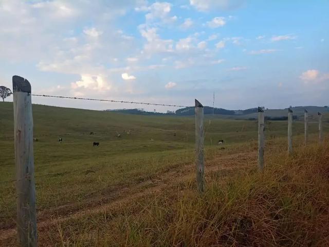 Sítio / Chácara para Venda em Caçapava/SP Marambaia