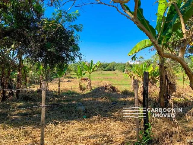 Sítio / Chácara para Venda em Caçapava/SP Santa Luzia 1 Quartos