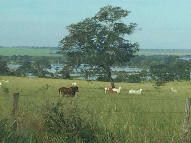 Sítio / Chácara para Venda em Cachoeira Alta/GO Zona Rural