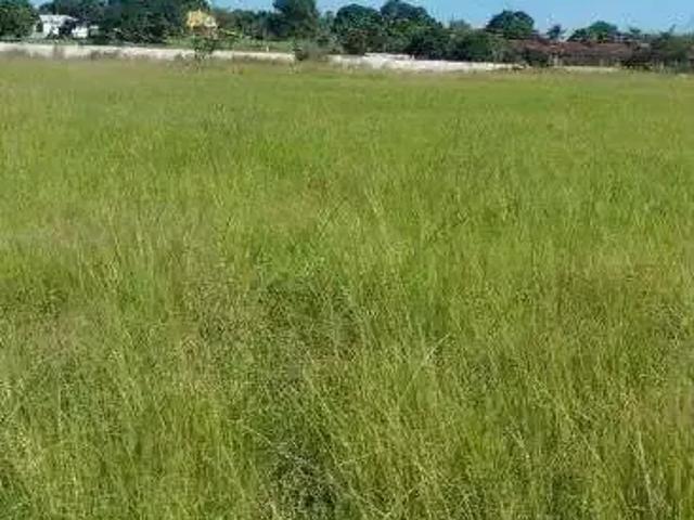 Sítio / Chácara para Venda em Cachoeiras de Macacu/RJ Zona Rural 1 Quartos