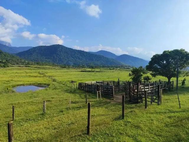 Sítio / Chácara para Venda em Cachoeiras de Macacu/RJ Zona Rural 2 Quartos