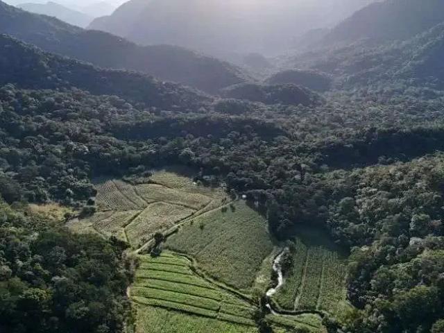 Sítio / Chácara para Venda em Cachoeiras de Macacu/RJ Zona Rural 3 Quartos