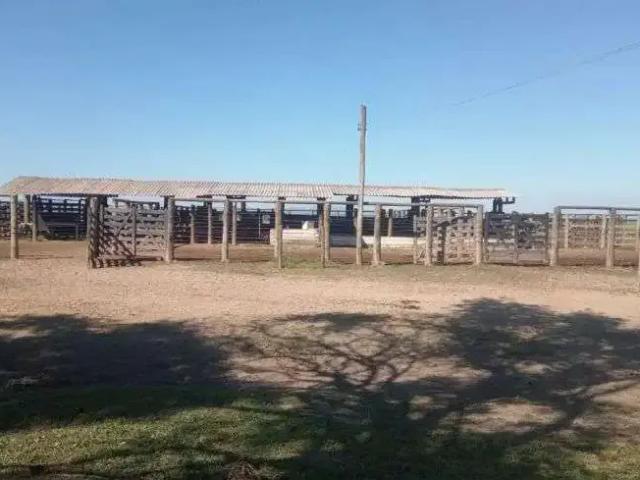 Sítio / Chácara para Venda em Cachoeiras de Macacu/RJ Zona Rural 4 Quartos
