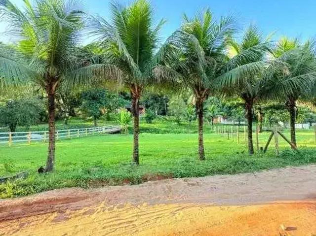 Sítio / Chácara para Venda em Cachoeiras de Macacu/RJ Zona Rural