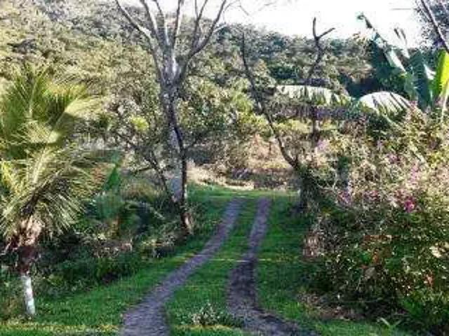 Sítio / Chácara para Venda em Cachoeiras de Macacu/RJ Japuíba 2 Quartos