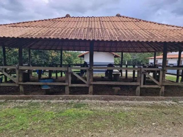 Sítio / Chácara para Venda em Cachoeiras de Macacu/RJ Papucaia 4 Quartos