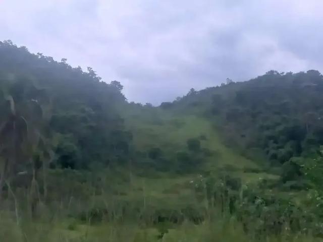 Sítio / Chácara para Venda em Cachoeiras de Macacu/RJ Papucaia