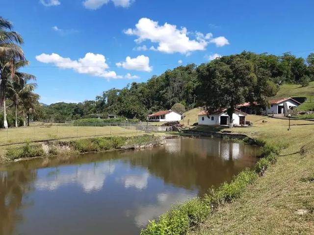 Sítio / Chácara para Venda em Cachoeiras de Macacu/RJ Papucaia 7 Quartos