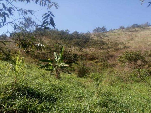 Sítio / Chácara para Venda em Cachoeiras de Macacu/RJ Papucaia