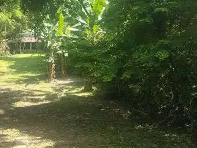 Sítio / Chácara para Venda em Cachoeiras de Macacu/RJ Papucaia 1 Quartos
