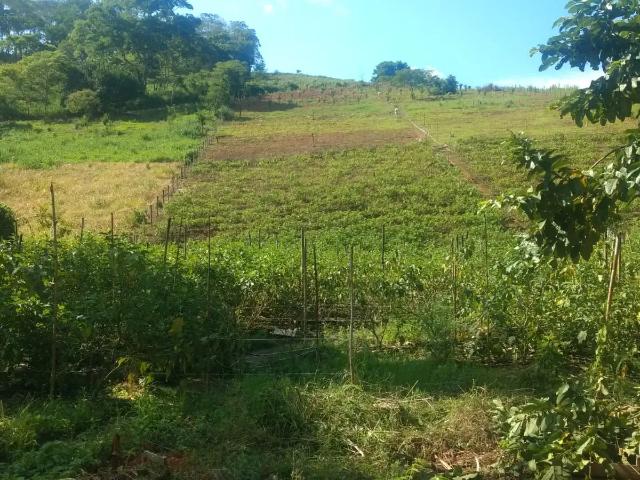 Sítio / Chácara para Venda em Cachoeiro de Itapemirim/ES Aeroporto