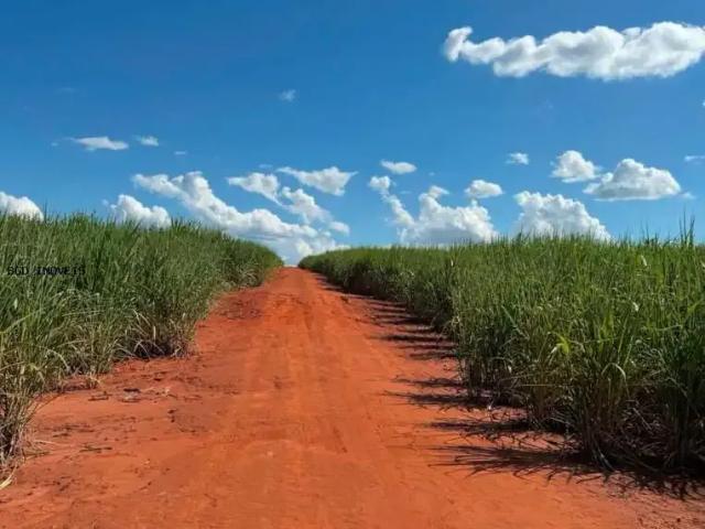 Sítio / Chácara para Venda em Caiabu/SP Zona Rural