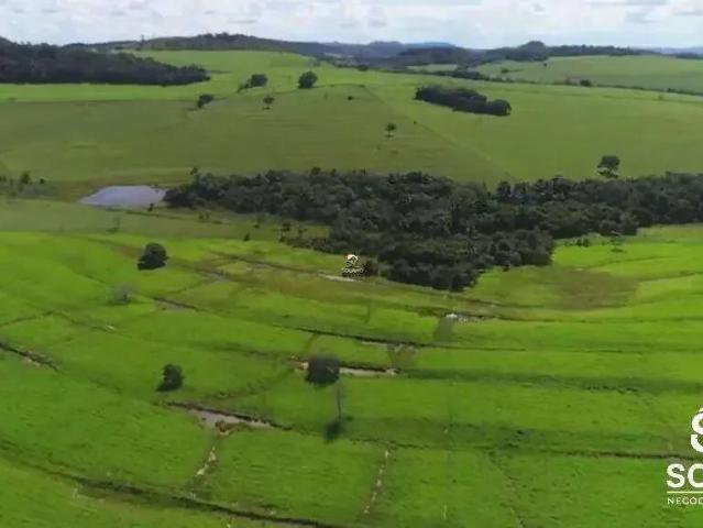 Sítio / Chácara para Venda em Caiapônia/GO Zona Rural 3 Quartos