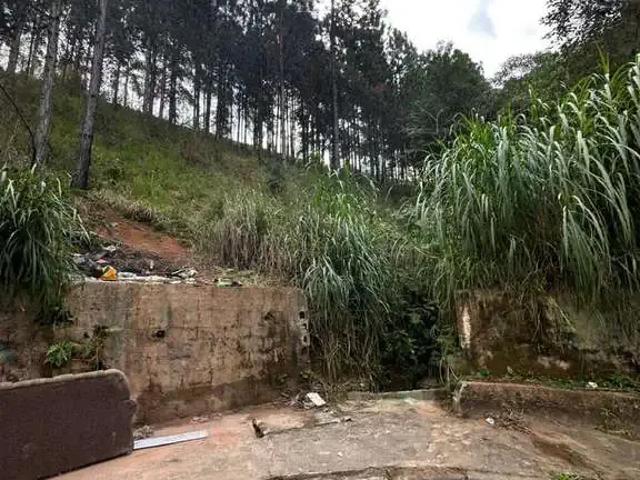 Sítio / Chácara para Venda em Caieiras/SP Vila Rosina