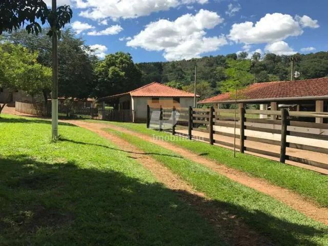 Sítio / Chácara para Venda em Cajuru/SP Jardim Vila Real