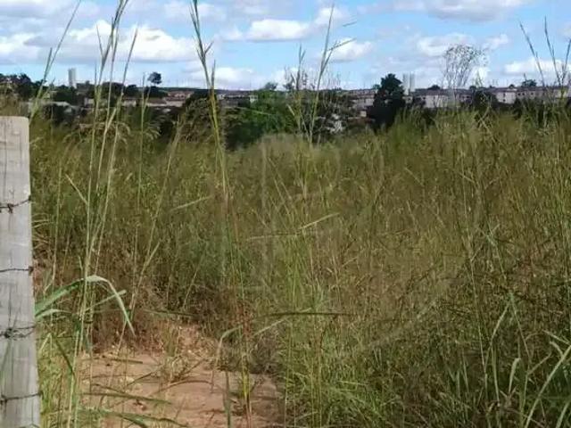 Sítio / Chácara para Venda em Caldas Novas/GO Estância Itanhangá